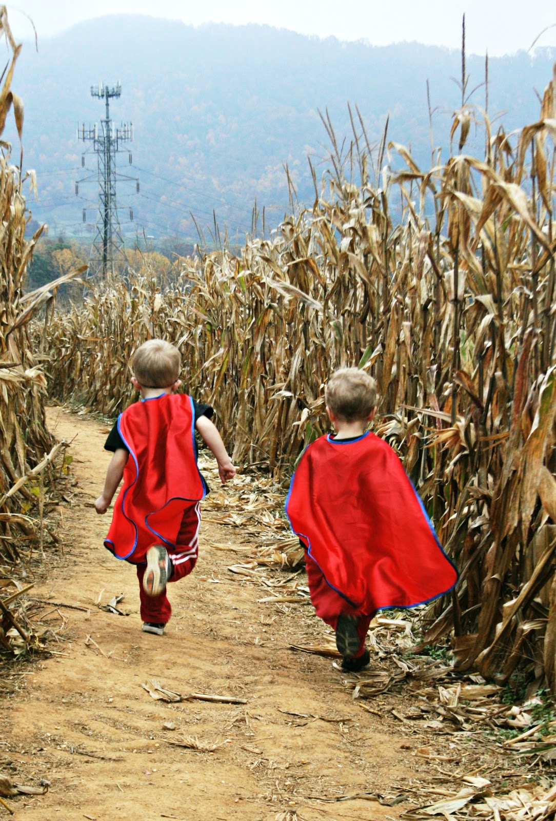 Two Bears Farm and the Three Cubs: The Pumpkin Patch - Jeter Farm ...