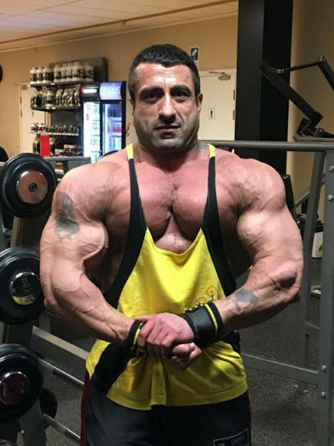 world bodybuilders pictures: sweden muscles builder Pierre Chamoun