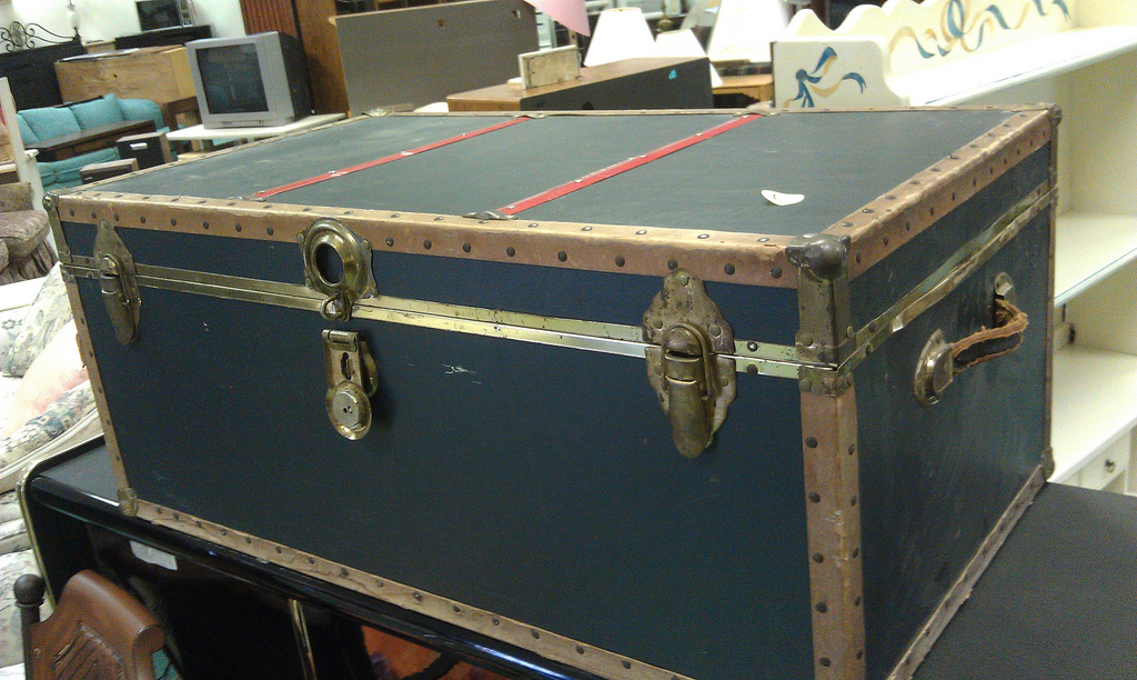 FOCAL POINT STYLING: FRIDAY FINDS: ON TREND TRUNKS!