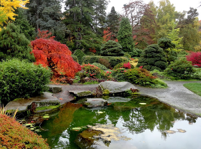 danger garden: Visiting Kubota Gardens...