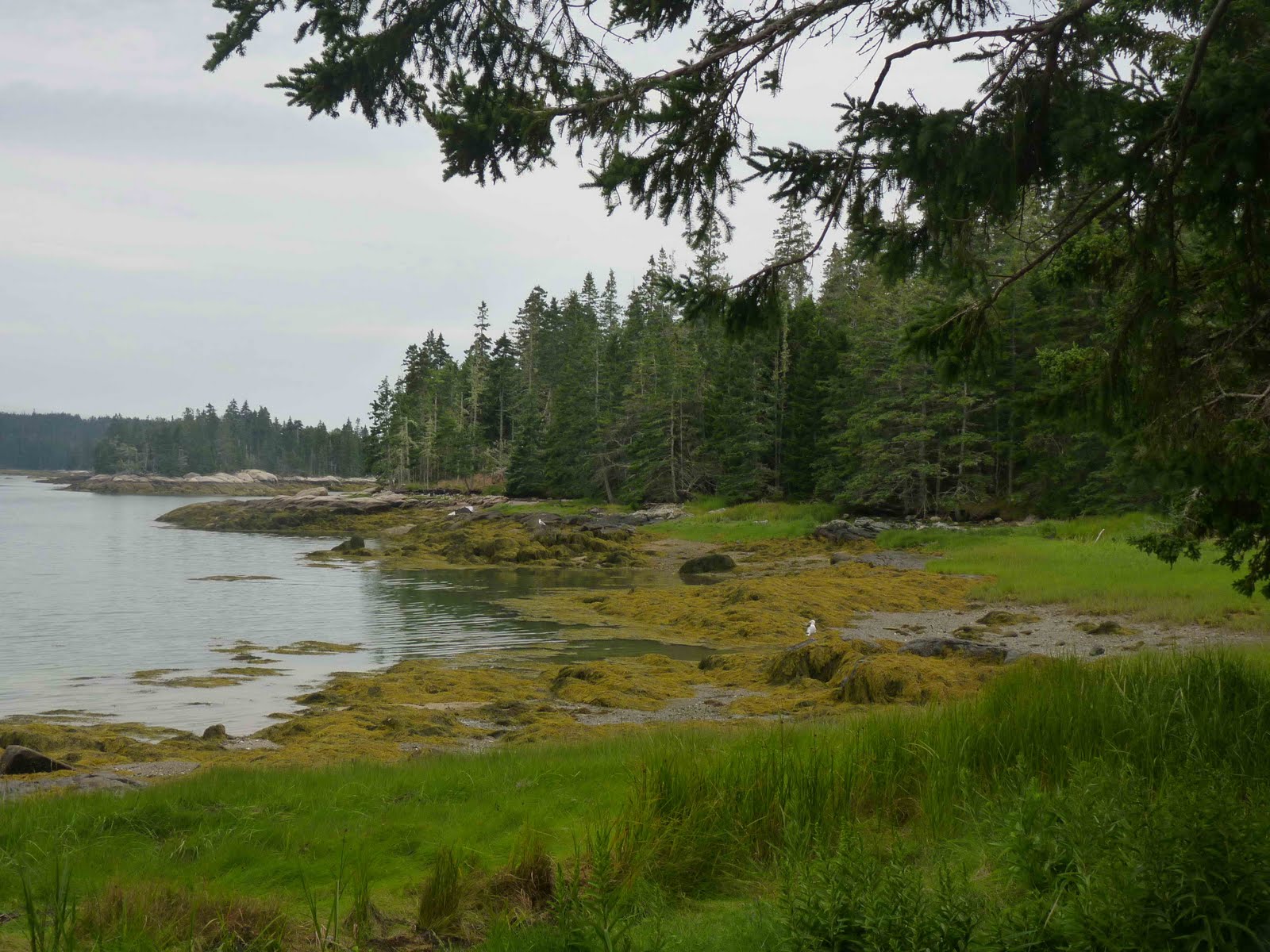 LATITUDES' JOURNEY: Buckle Island