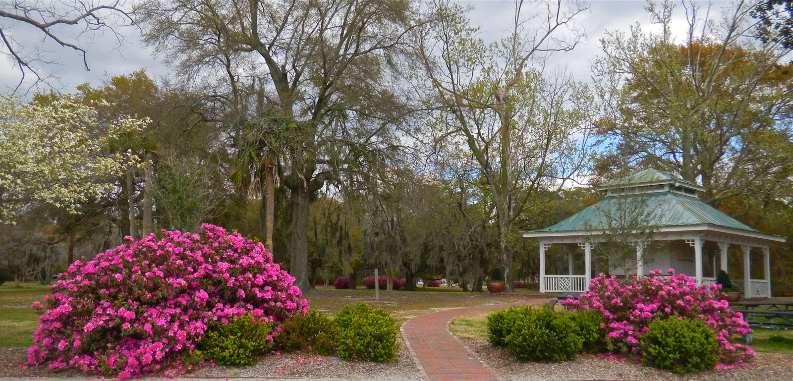 The Traveling Gardener: Simply Azaleas