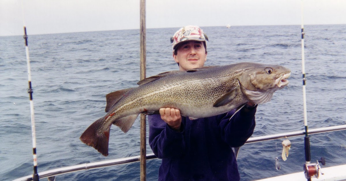 Fish Images: Atlantic Cod Fish Images