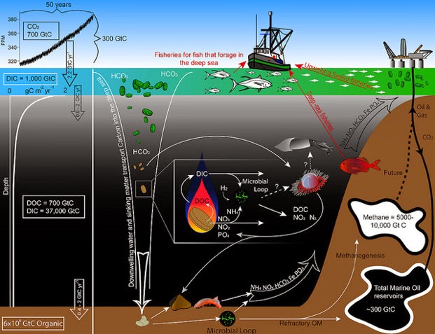 Scientists caution against exploitation of deep ocean - Geology In