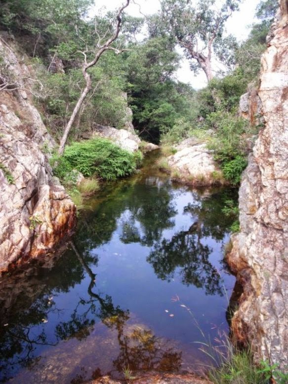 Tada Hills & Waterfalls - A Picture Album (Nellore - Andhra Pradesh ...