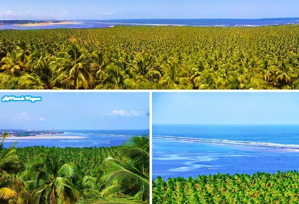 Litoral Sul de Alagoas - RêVivendo Viagens