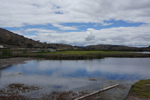 El orquidario de cantón colta : imagenes de laguna de colta