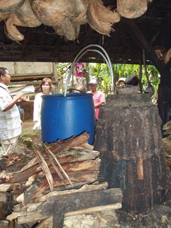 Bali Nature &Experience Tours