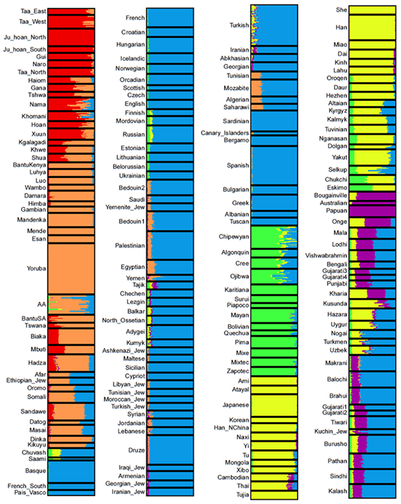 Le Razze Umane Esistono? Gli Studi Scientifici più Importanti | Il ...
