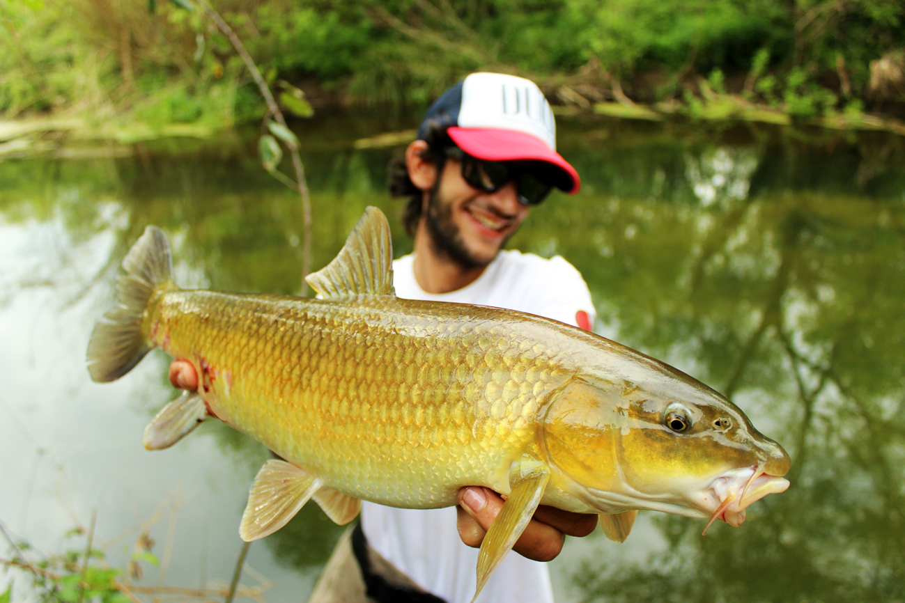 Primeras sensaciones con el pato... ~ Spinning PepFrank