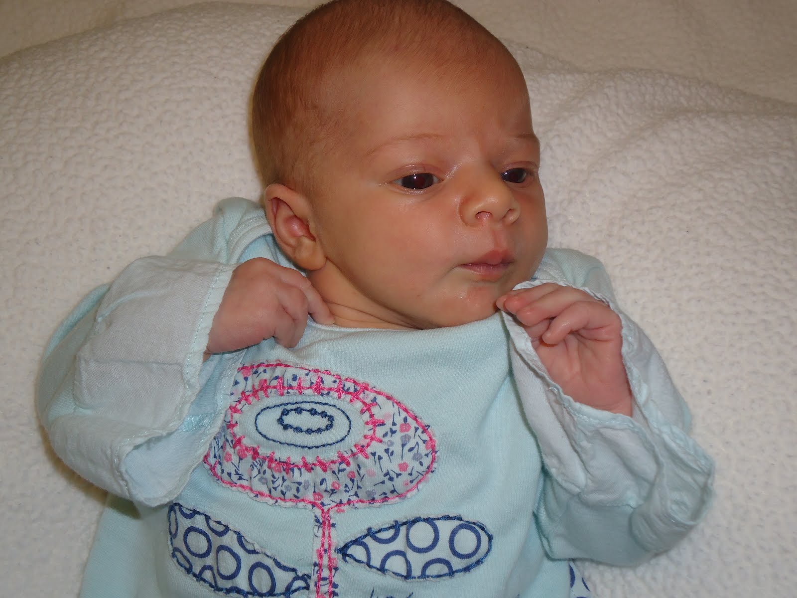 Blessed Socha Family