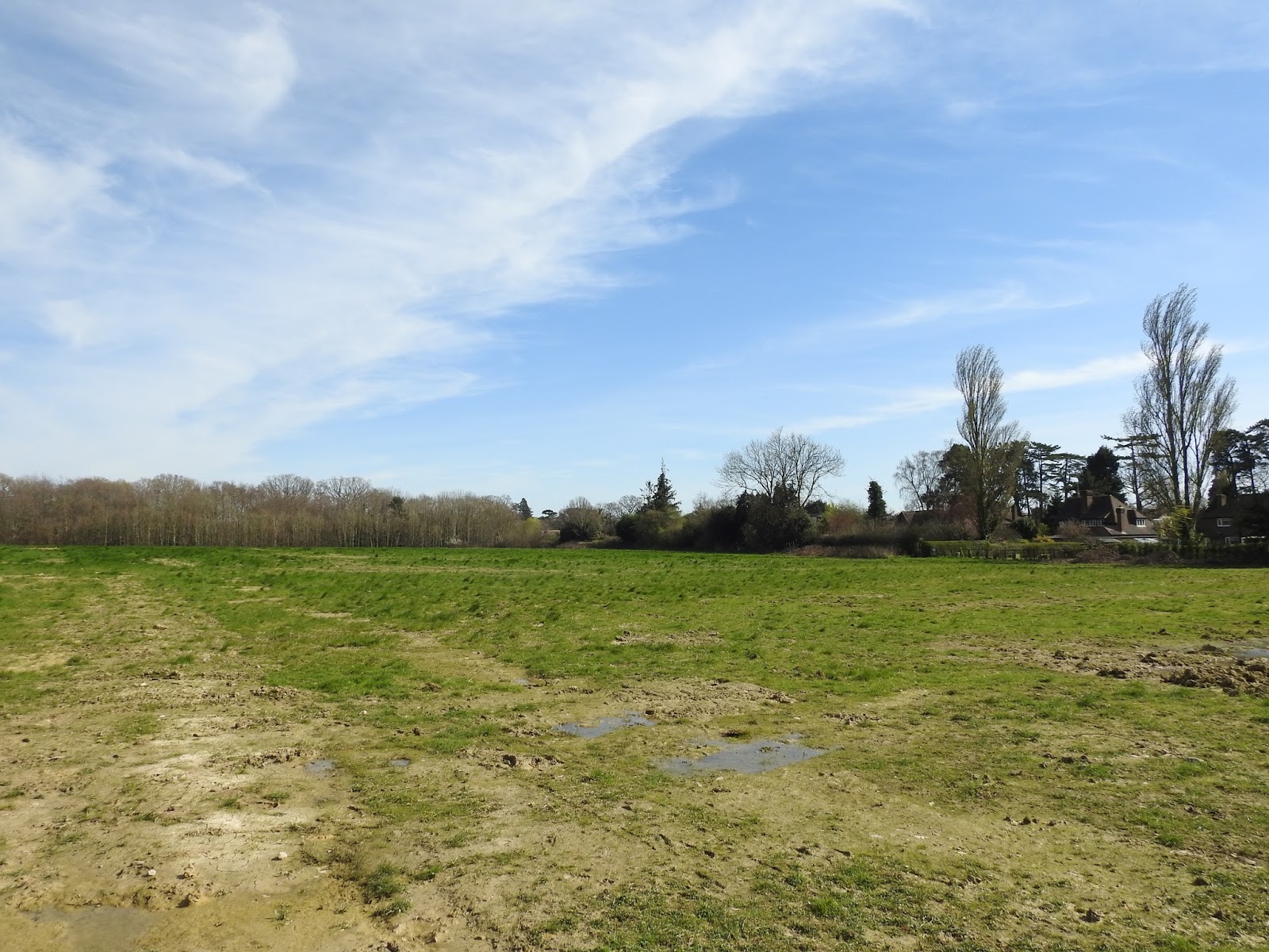 Ians Blog: THIRTY PICTURES: Bovis homes development in Rusper Road on ...