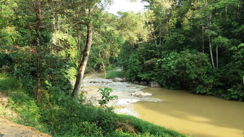Mohd Faiz bin Abdul Manan: Hutan Lipur Ulu Kinta