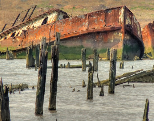 best photos 2 share: Remarkable Pictures of Rust