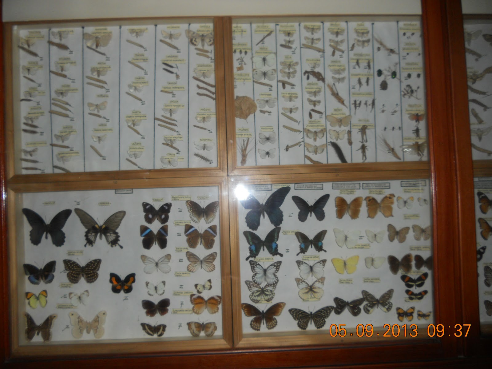 Parohia Ortodoxă Sfântul Apostol şi Evanghelist Marcu - Floreşti, Cluj ...