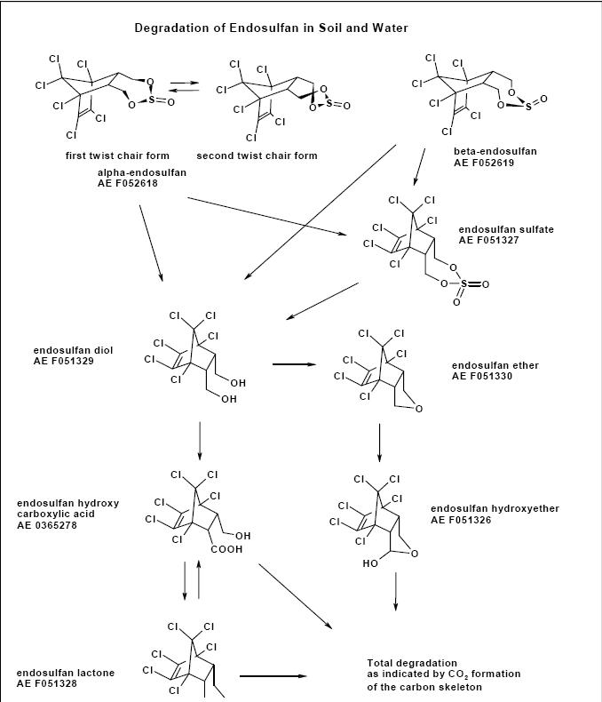 INFORMATION NOW: CHEMISTRY OF ENDOSULFAN