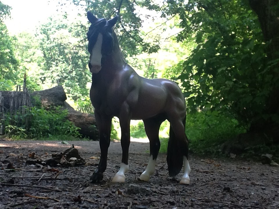 The Breyer Blog: Realistic Breyer Photography