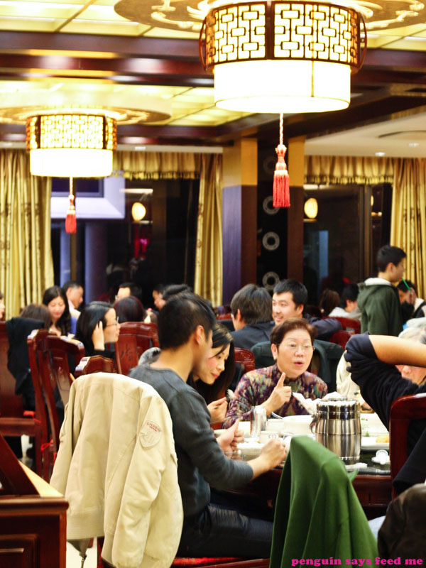 Penguin says Feed Me: Red Chilli Sichuan Restaurant, Chatswood