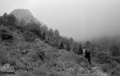 REFLEXIONES: Cayetano Ripoll, maestro, última víctima de la Inquisición