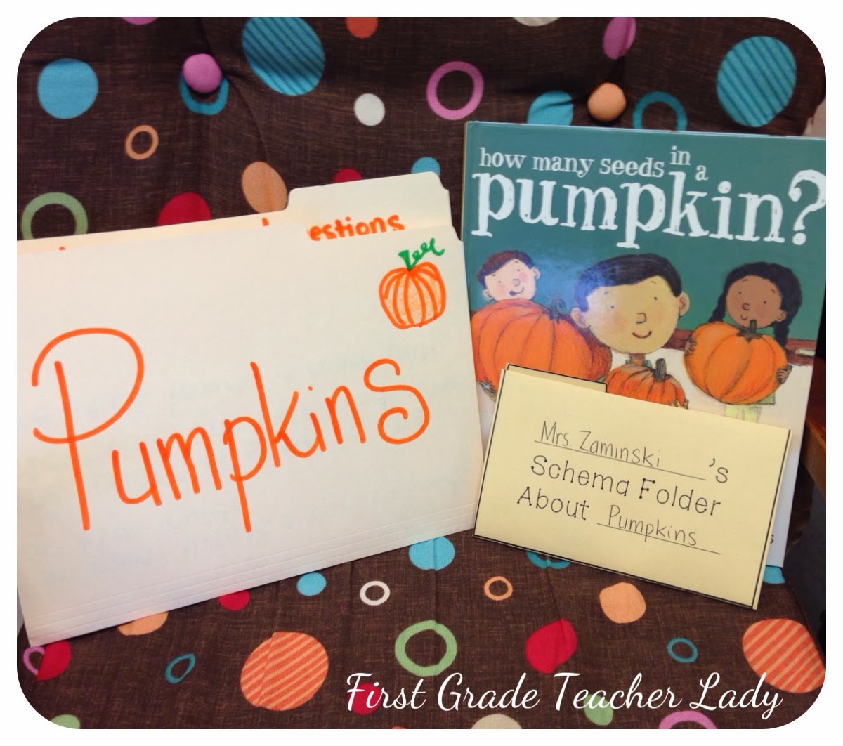 Fourth Grade Teacher Lady: Pumpkin Investigation