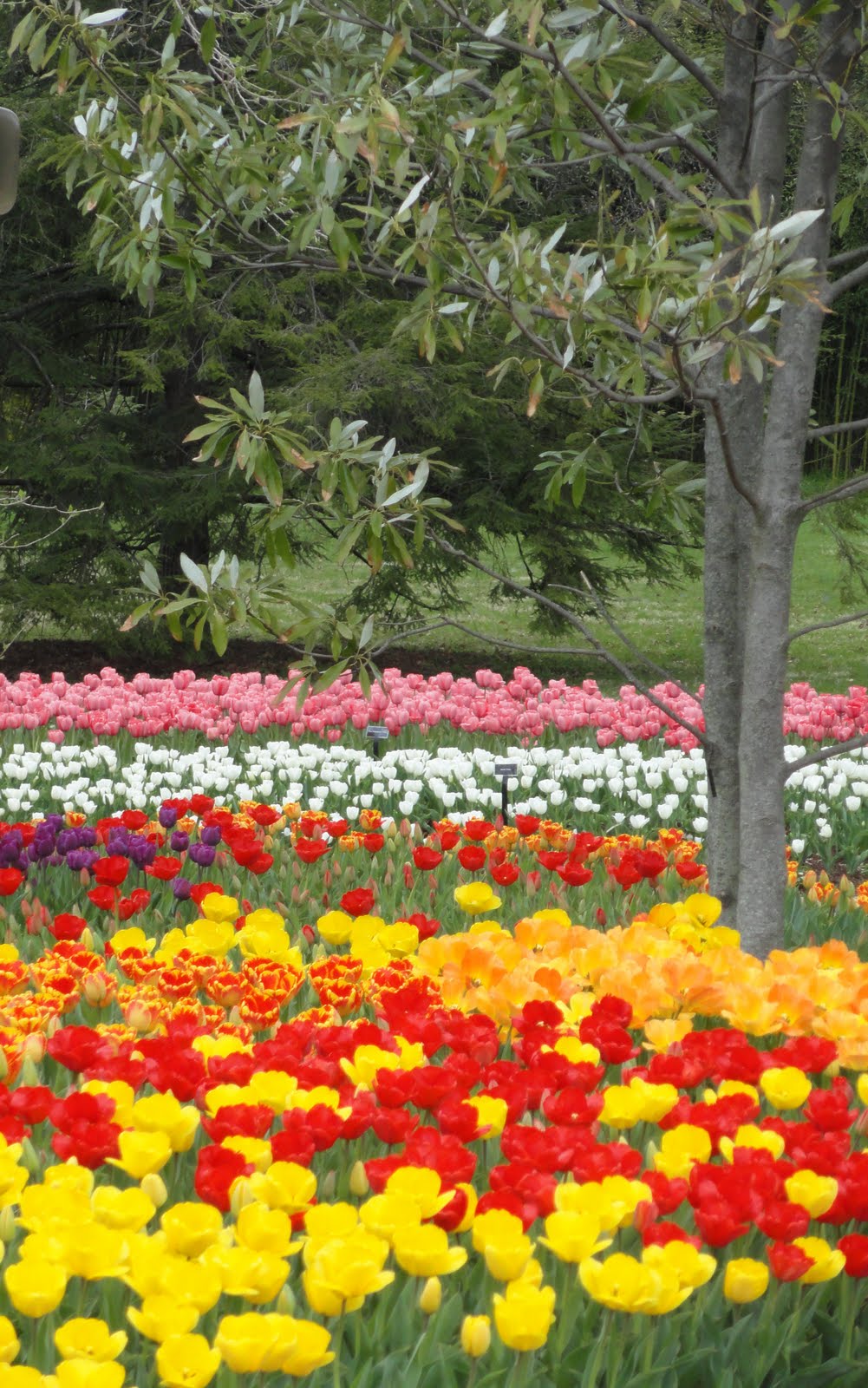 antoinette's adornments: zoo dayzzz....