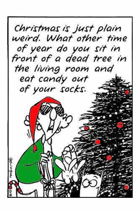 Email Forwards Fun!: Maxine on Christmas