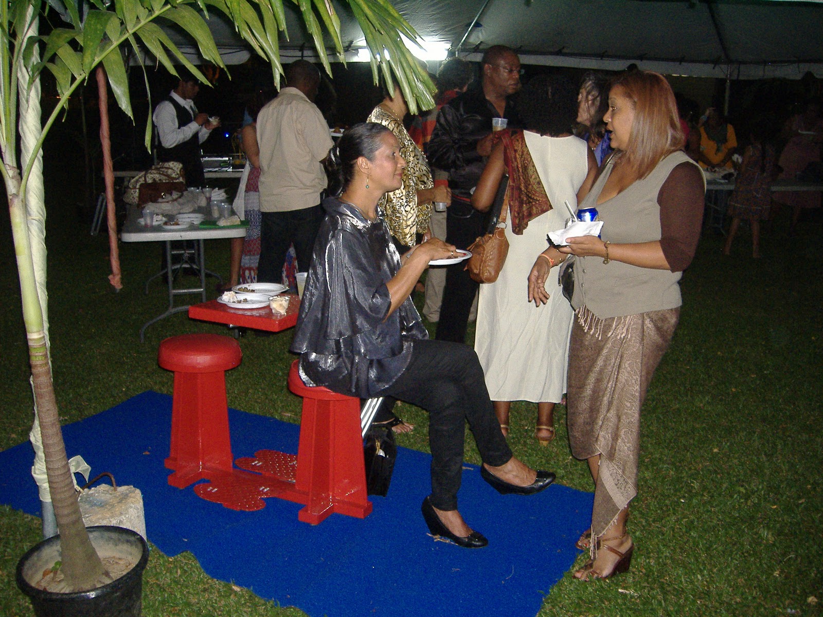 DArlen Projects: OPENING OF CONFERENCE 24-26 MARCH, DAAGA HALL, UWI ST ...