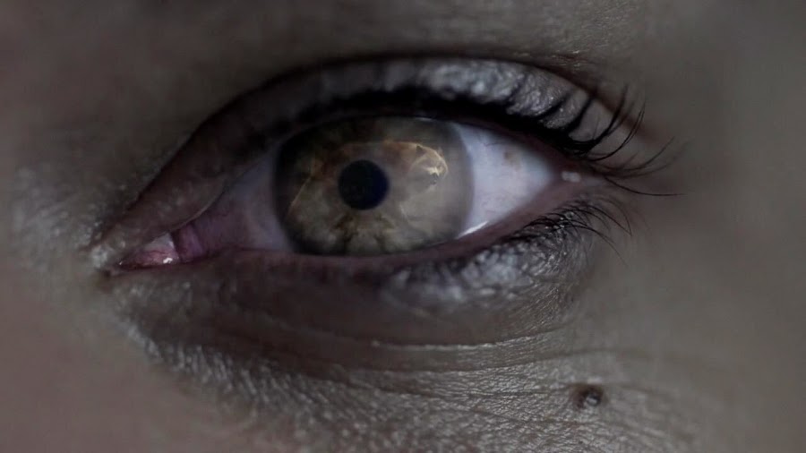 About the Author - Lisa Macklem