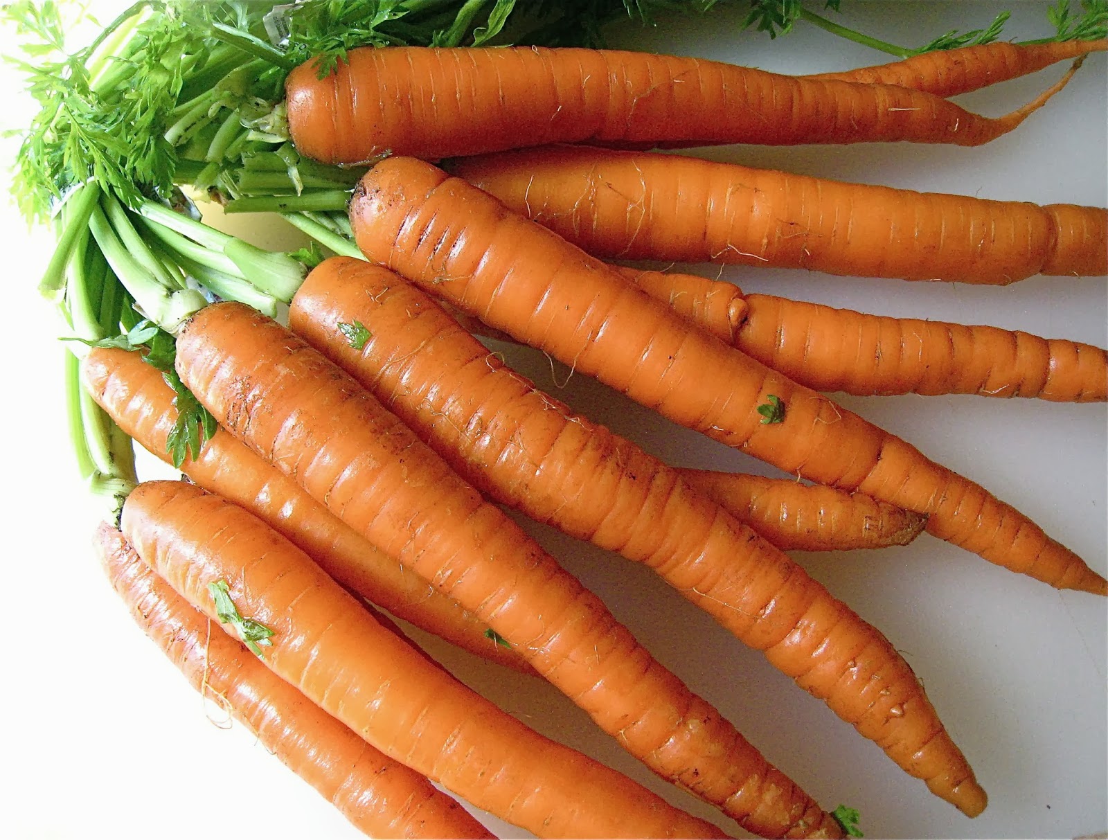 KITCHEN FIDDLER : Roasted Carrot and Avocado Salad (a la ABC Kitchen)