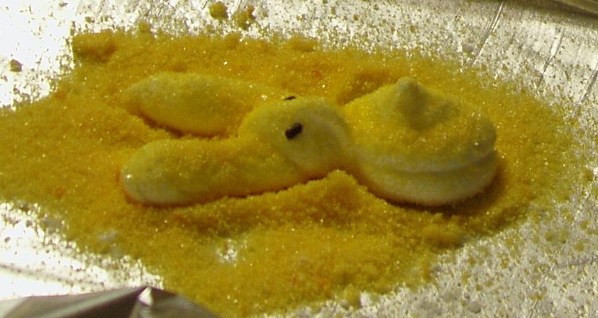 Mashed Potatoes and Crafts: Homemade Marshmallow Peeps