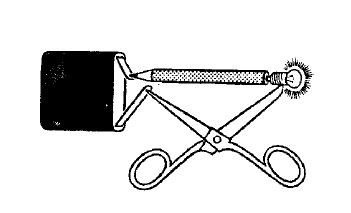 School Science Project: Graphite Conductor, Science Project