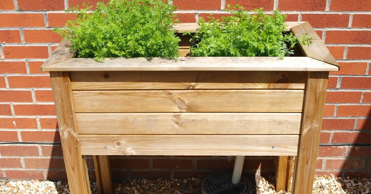 Mark's Veg Plot: A technique for growing trailing tomatoes