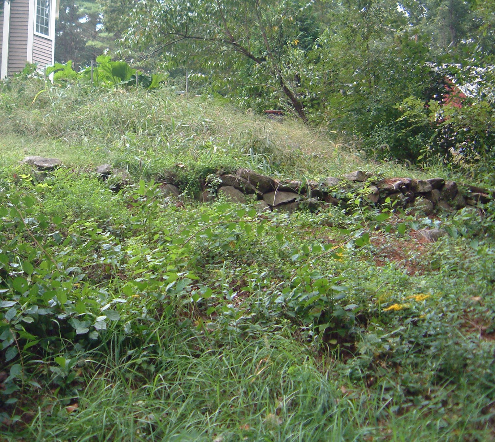 Stepping Outside: Growing on a Ledge