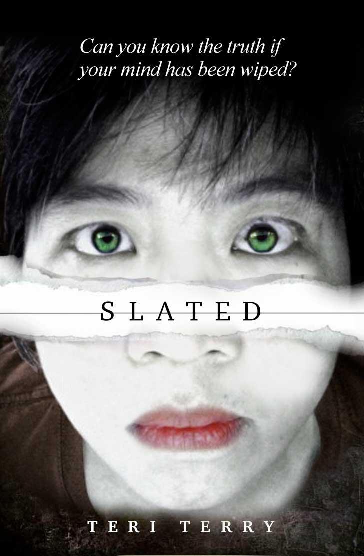 demention: Slated Book Bloggers! Be afraid, be very afraid...