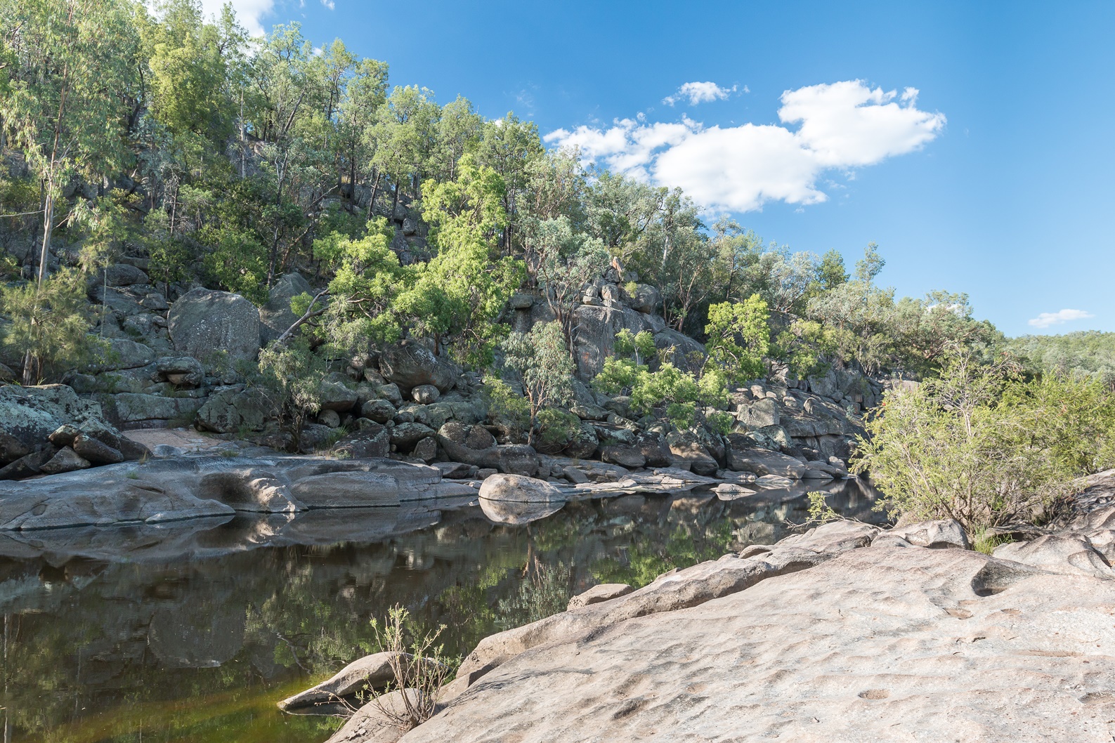 National Park Odyssey: Lemon Tree Flat Campground, Kwiambal National ...