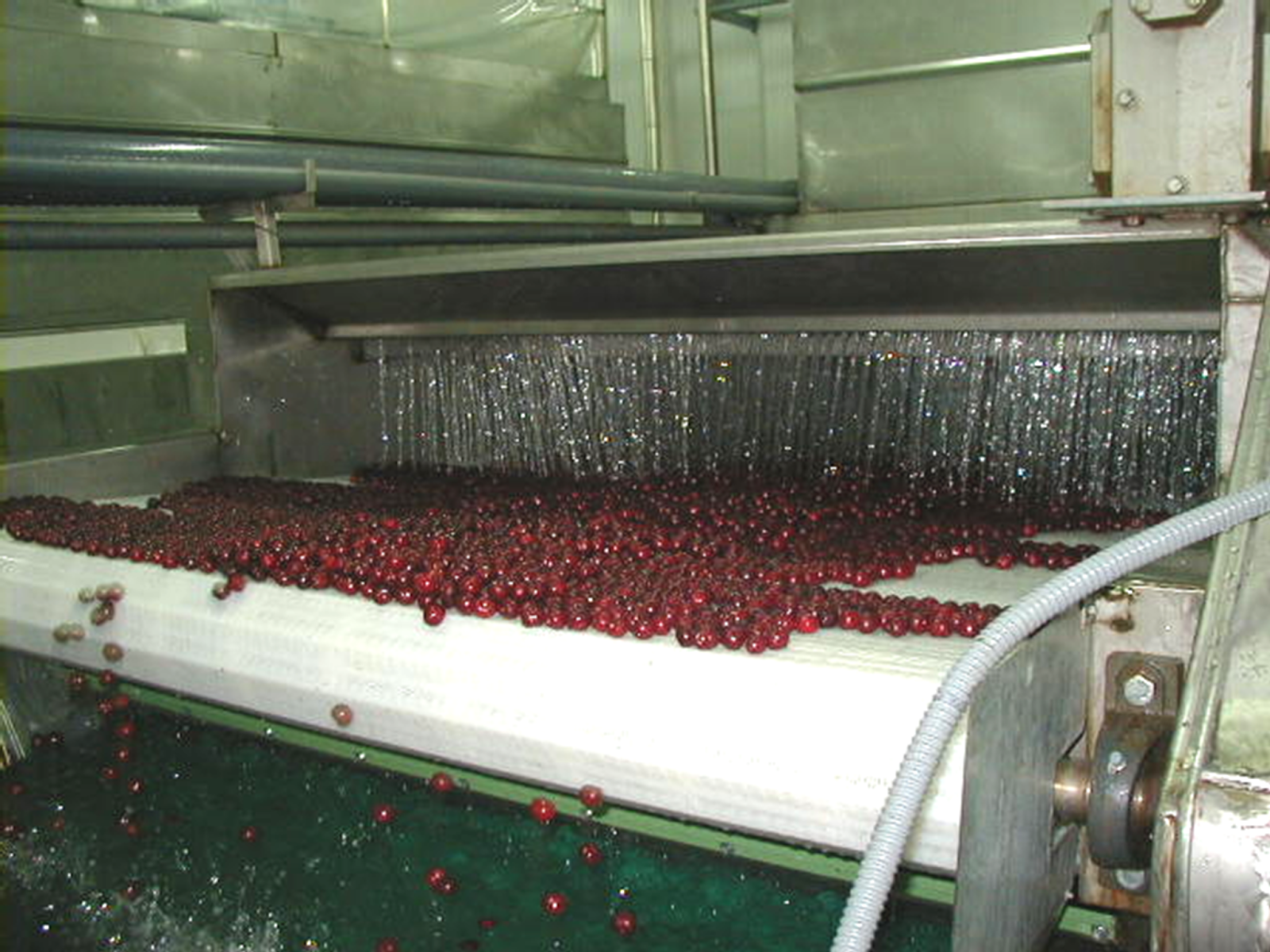 Soluciones Postcosecha: Prerrefrigeración I. Enfriamiento por Agua ...