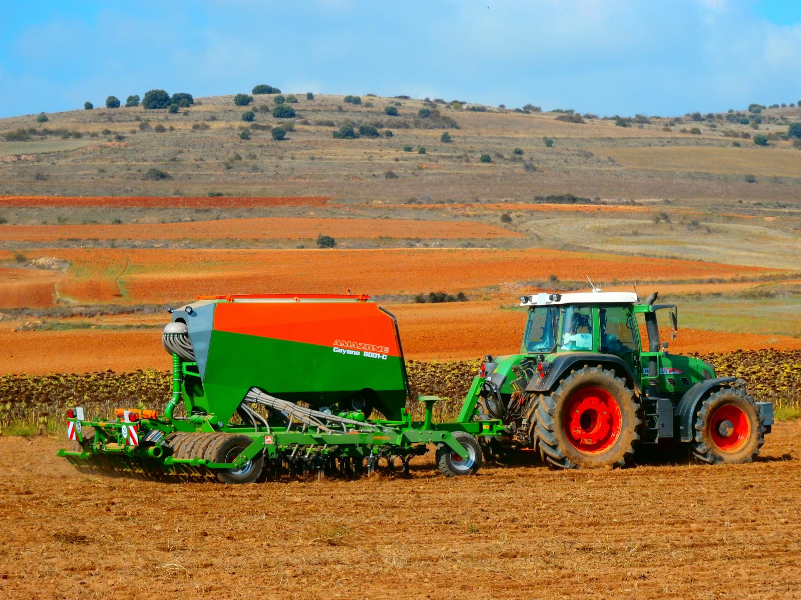 Amazone Cayena tine 6001-C: 100% direct seeding