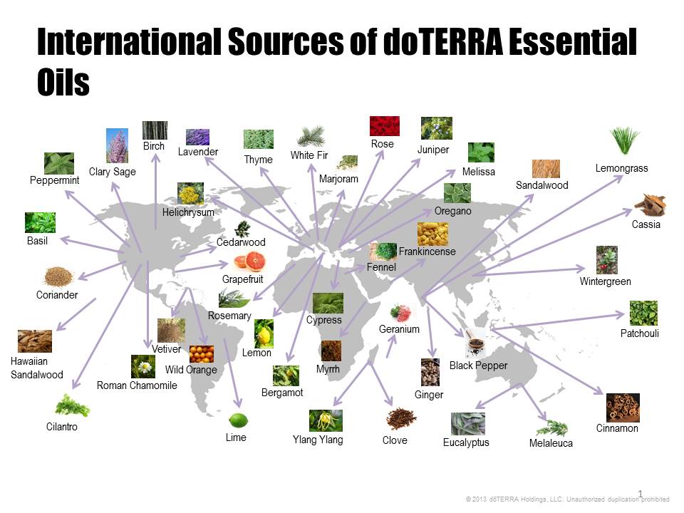 The Natural Alternative: doTERRA Essential Oils