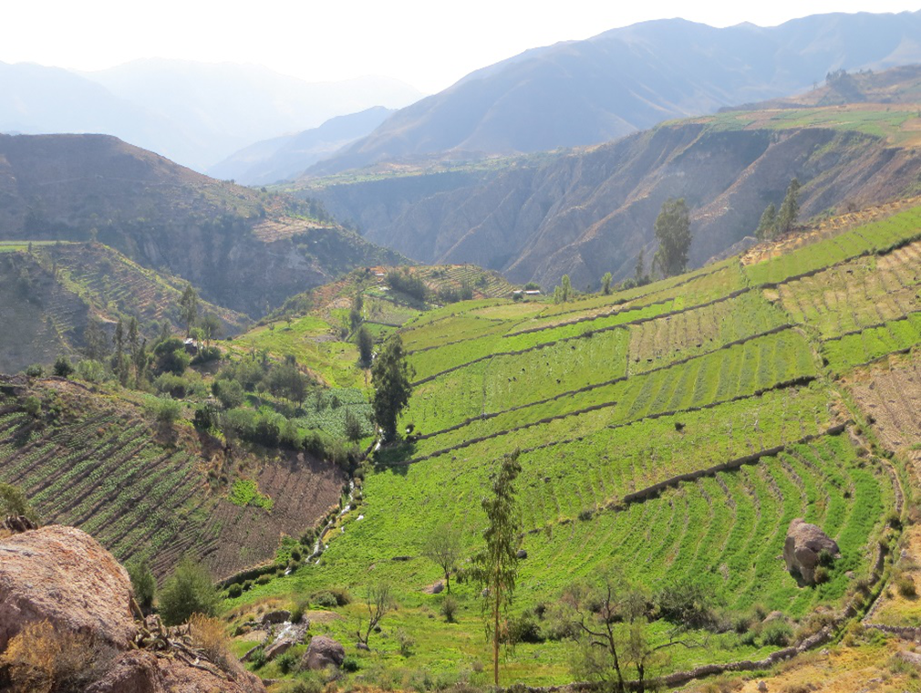Fotos e Imágenes del Perú: Recorrido Turístico en Tarata