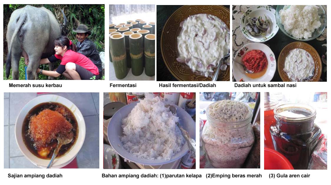 Nasbahry-Intangible: Ampiang dari beras, Dadiah dari Susu Kerbau ...