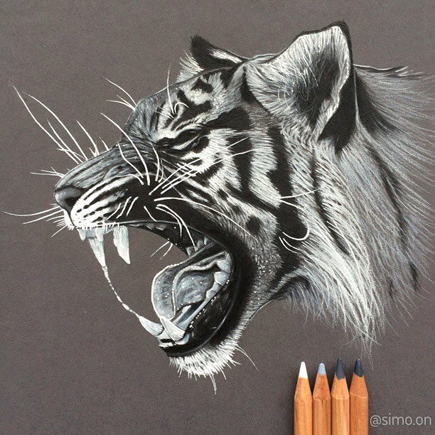 Design Stack: A Blog about Art, Design and Architecture: Colored ...