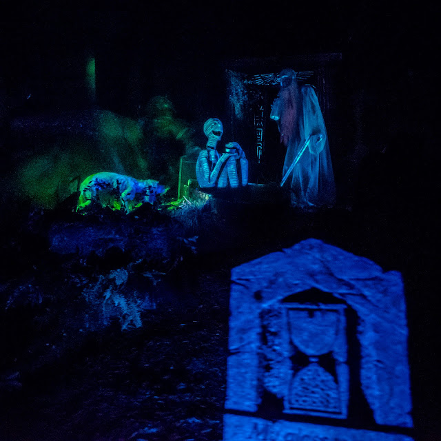 Spooky Spirit Snapshots