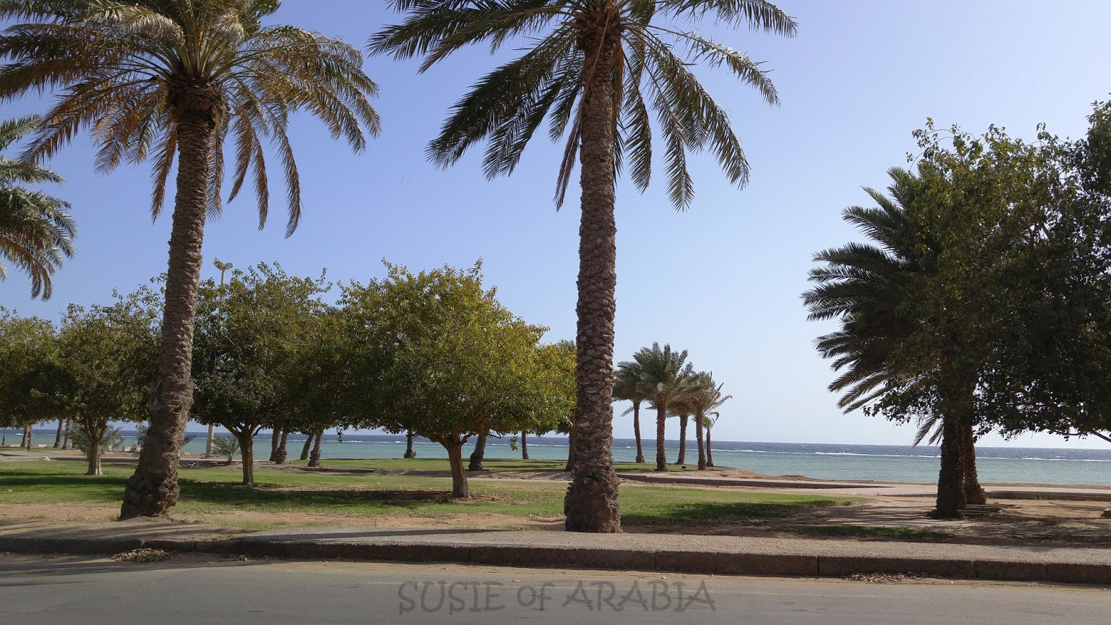 Jeddah Daily Photo: Pretty Red Sea Coastline of Yanbu