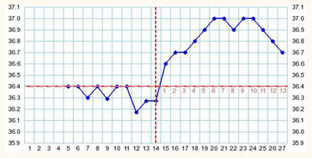 Cara Mengukur Suhu Basal Tubuh (Badan) Wanita - tipshamil