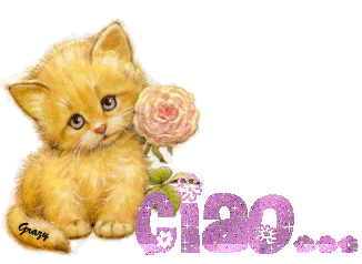 Che La Vita Continua: CIAO - HELLO - gif animated