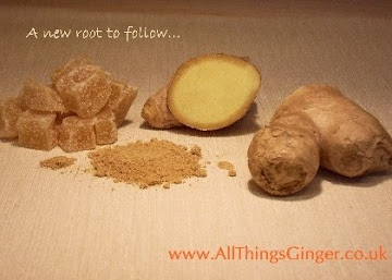 All Things Ginger - All You Need To Know About The World Of Ginger