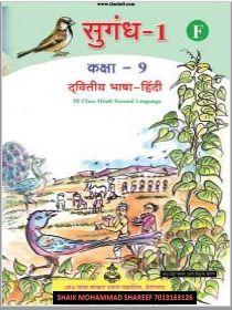 9TH Class Hindi learning material based on lesson plan Through Images ...