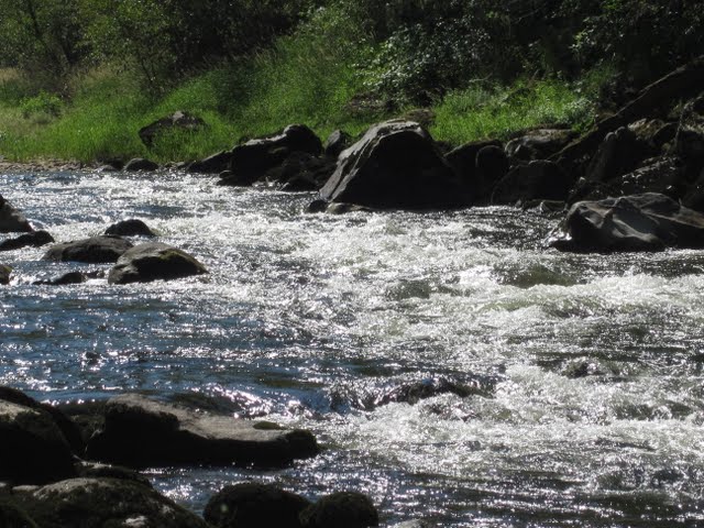 High Hopes: Camas Prairie to the Nez Perce National Forest ...