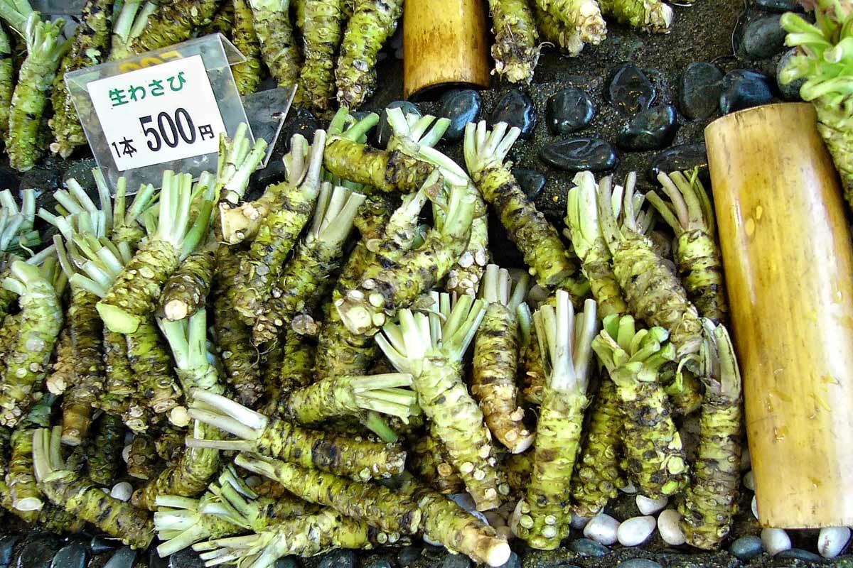 Tempat Wisata Populer Di Jepang Daso Wasabi Farm - Daiso Japan Indonesia