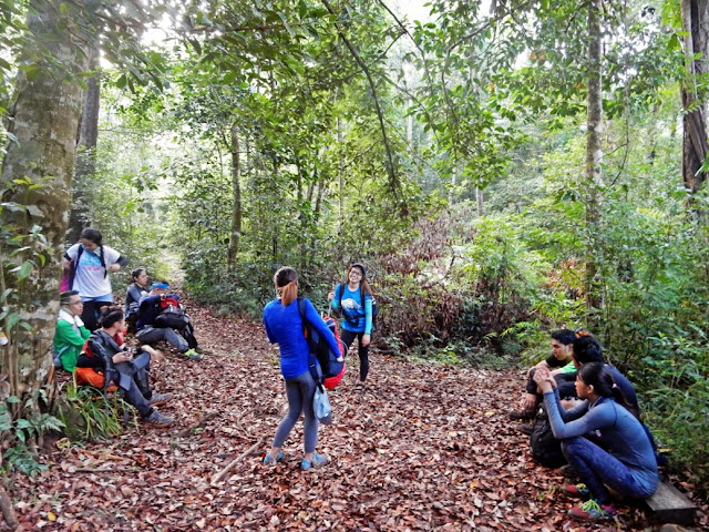 the viewing deck: Mt. Mariveles (1,408masl) Traverse Day-Hike ...